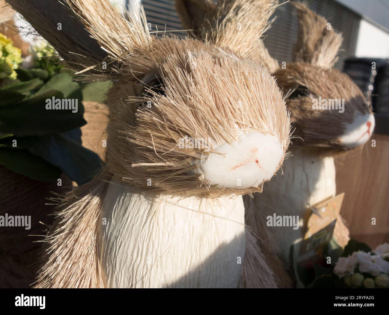 Easter bunny as symbol of easter Stock Photo - Alamy