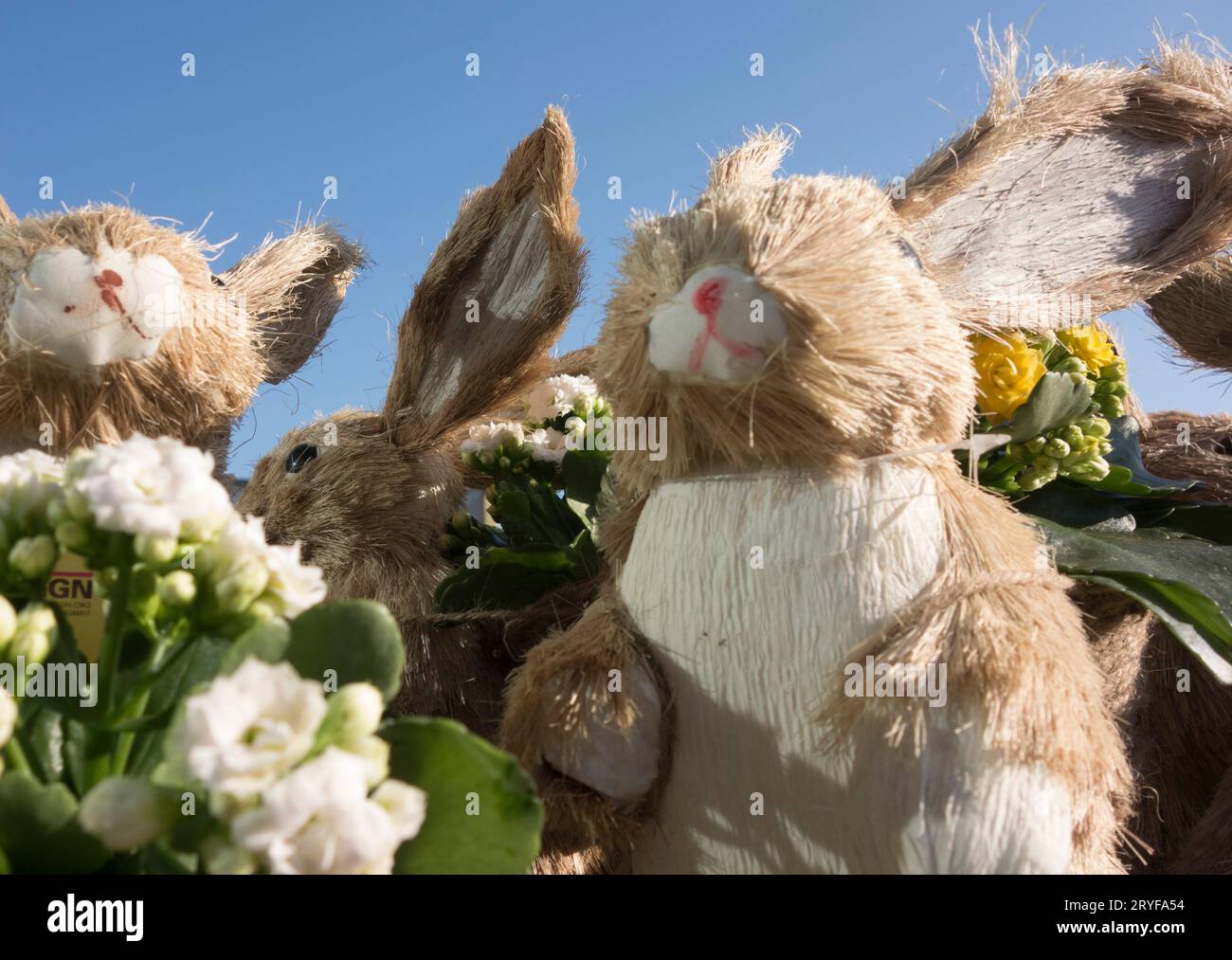 Bunny symbol hi-res stock photography and images - Alamy