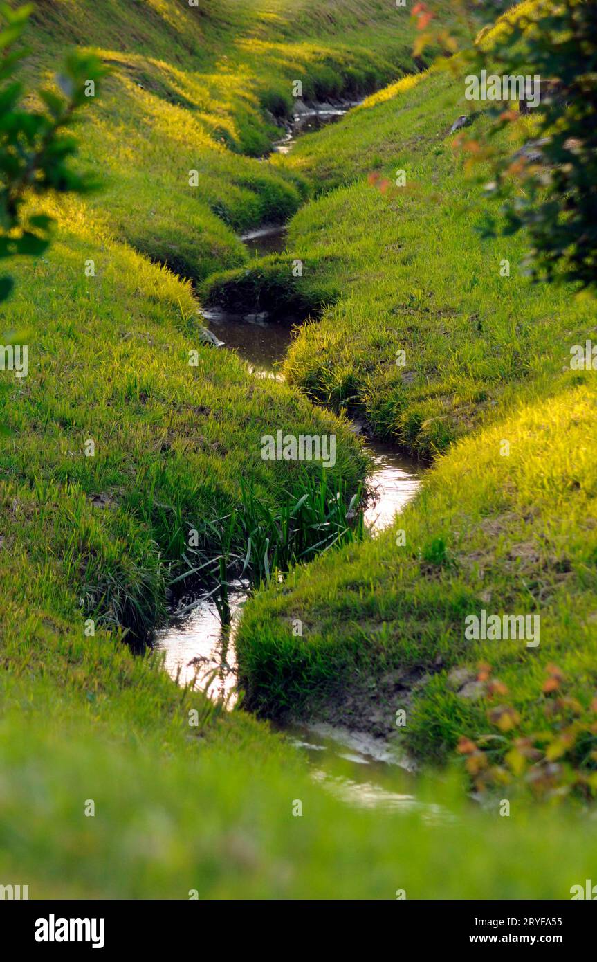 Meandering flow hi-res stock photography and images - Alamy