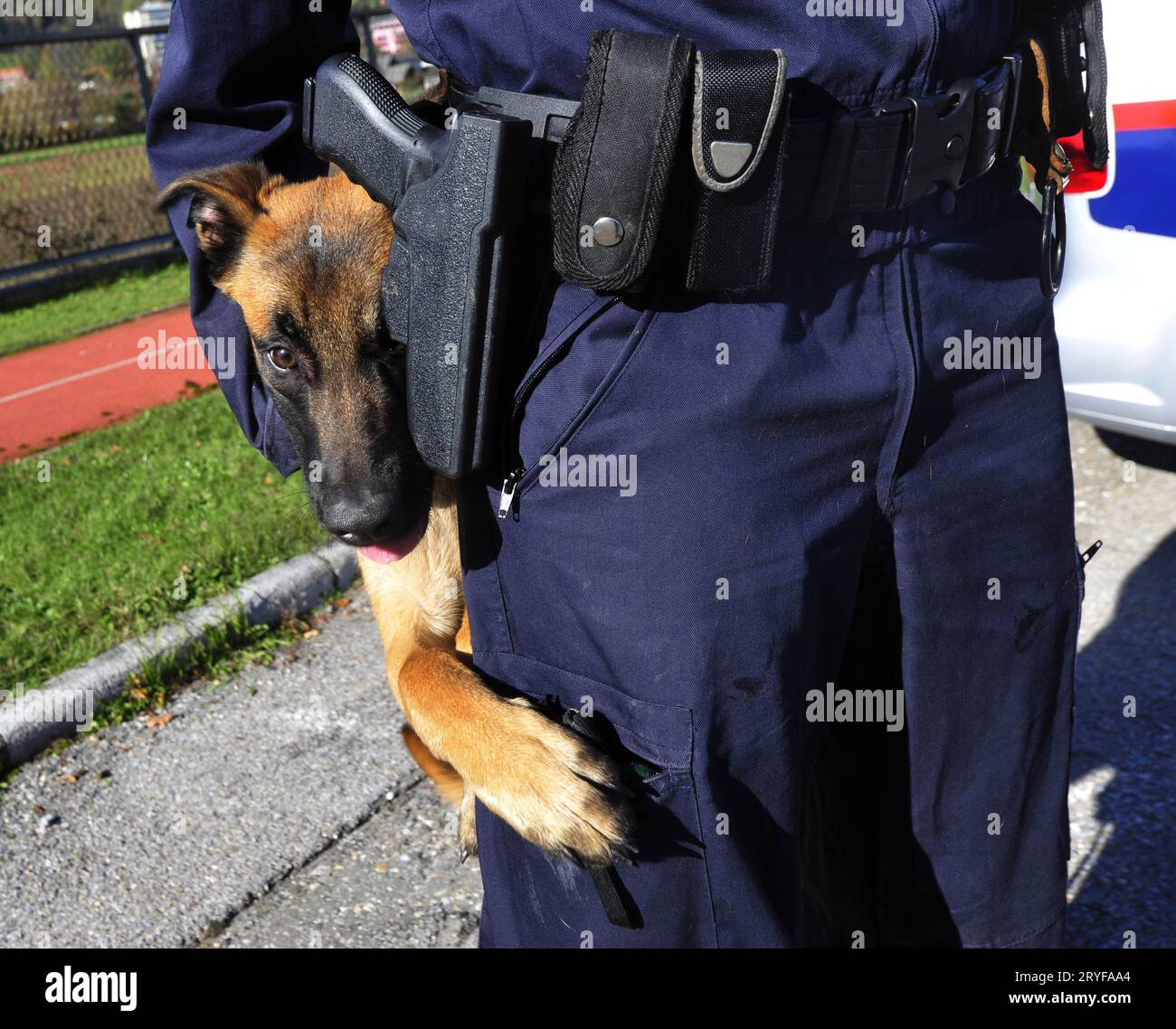 K9 unit hi-res stock photography and images - Alamy