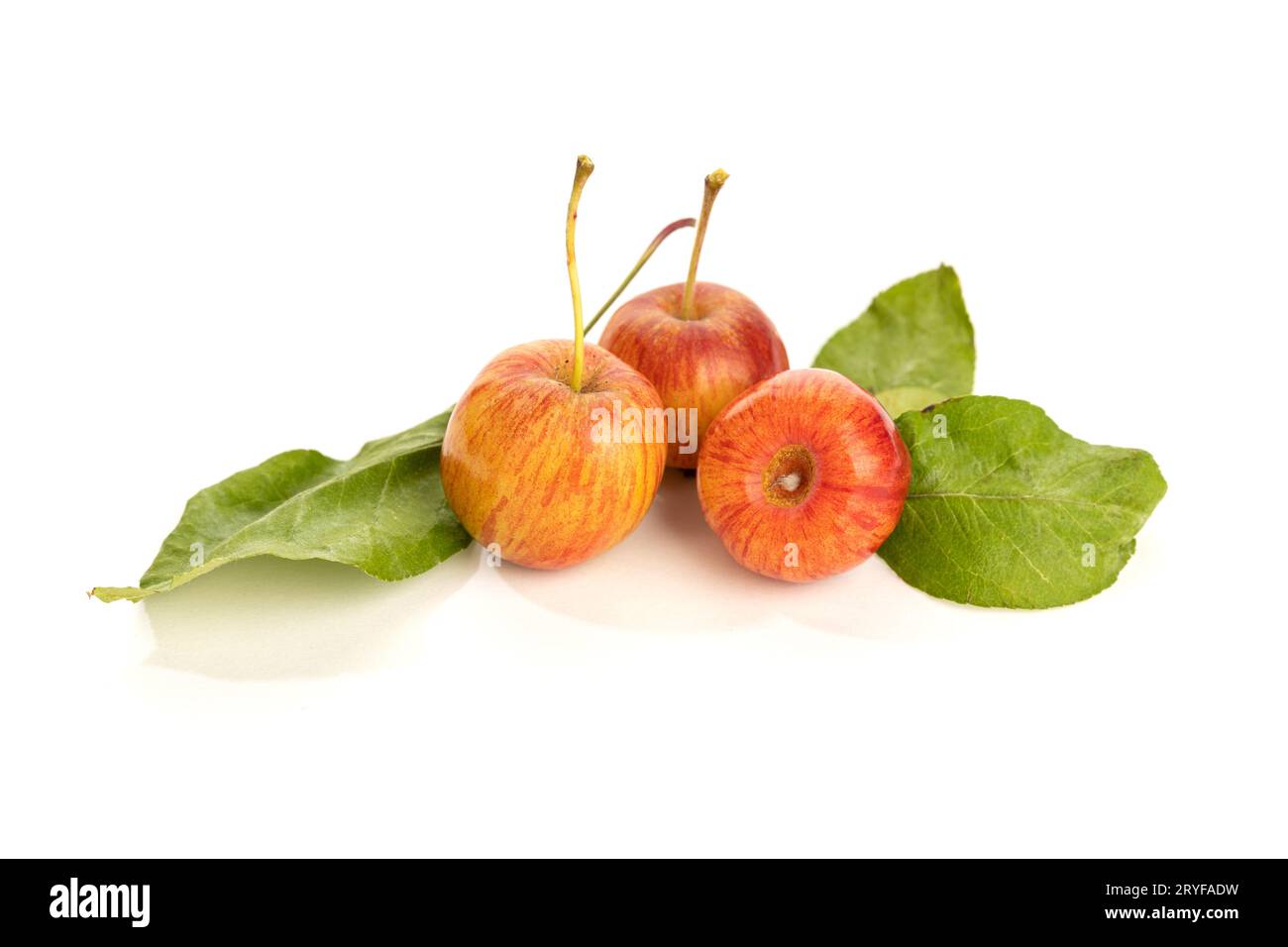 Red Dwarf Apple Isolated On White Background Stock Photo - Alamy