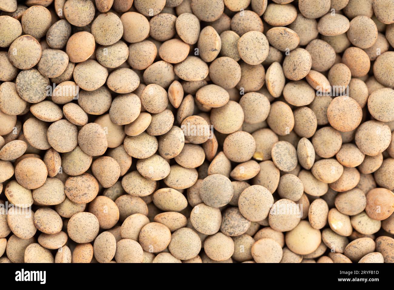 Uncooked Lentil background texture. Full frame Stock Photo - Alamy