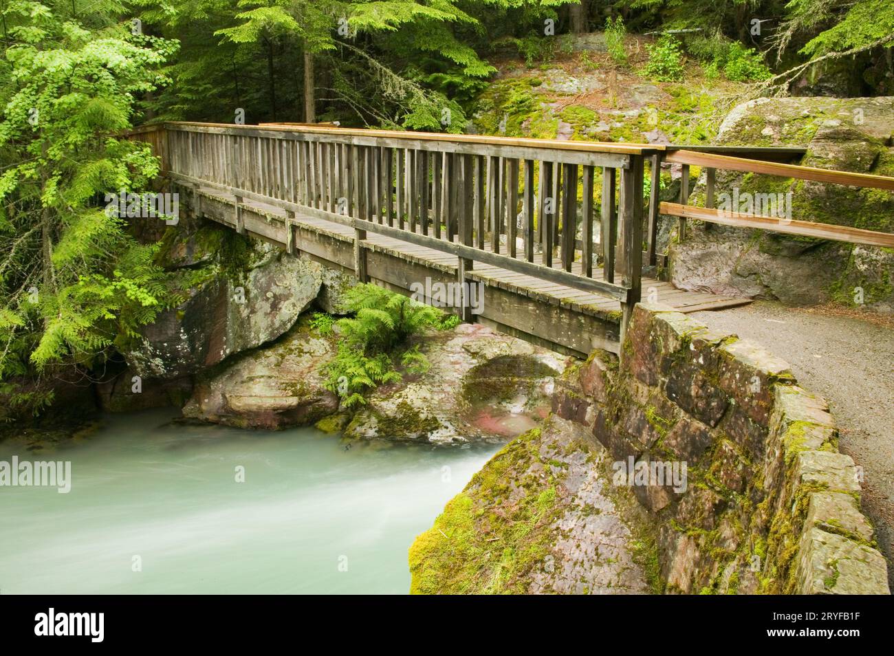 Wooden Footbridge over Avalanche Creek in Glacier National Park ...