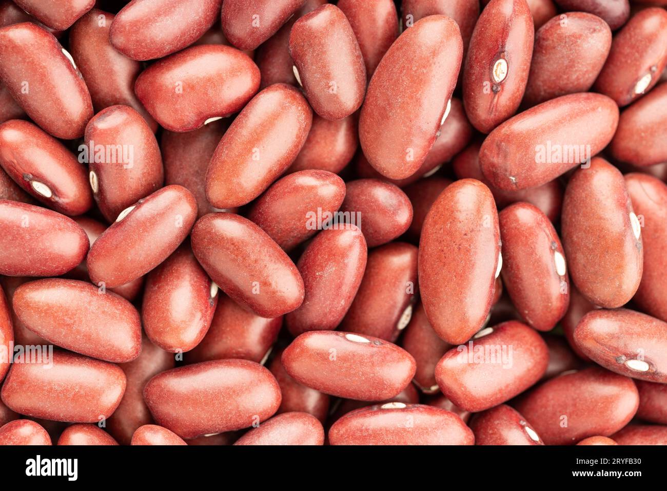 Red kidney bean background texture. Full frame Stock Photo - Alamy
