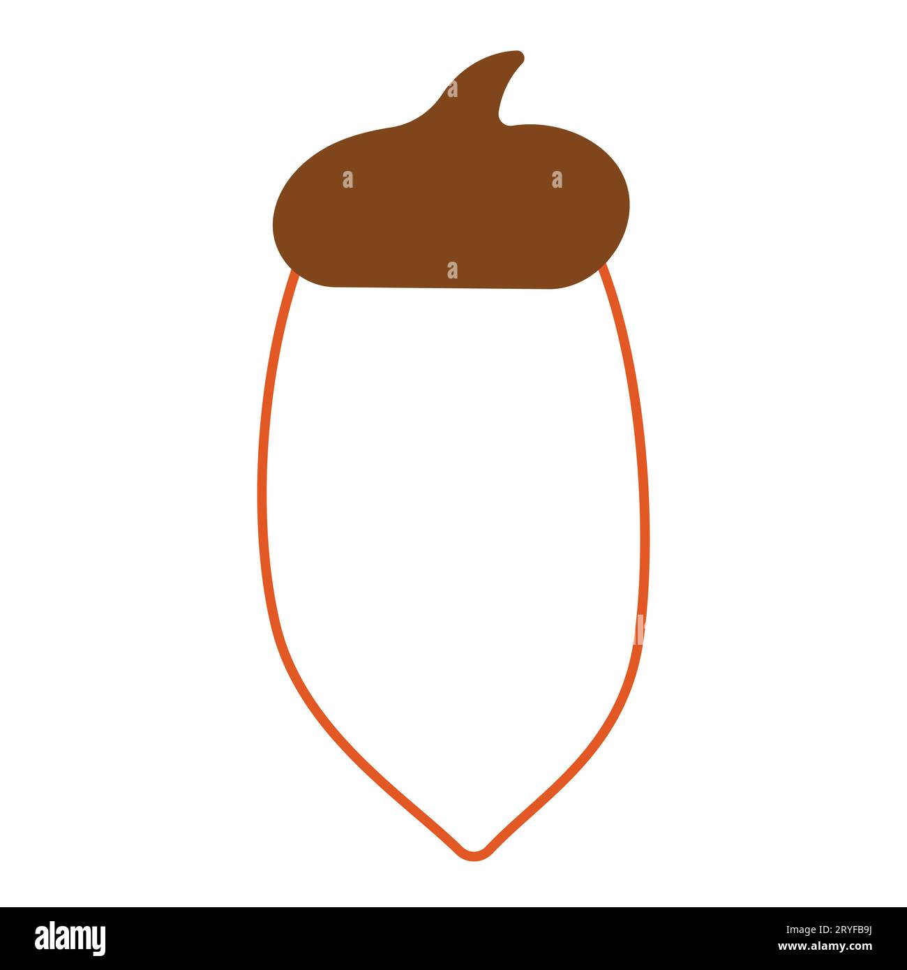 Walnut pattern hi-res stock photography and images - Alamy