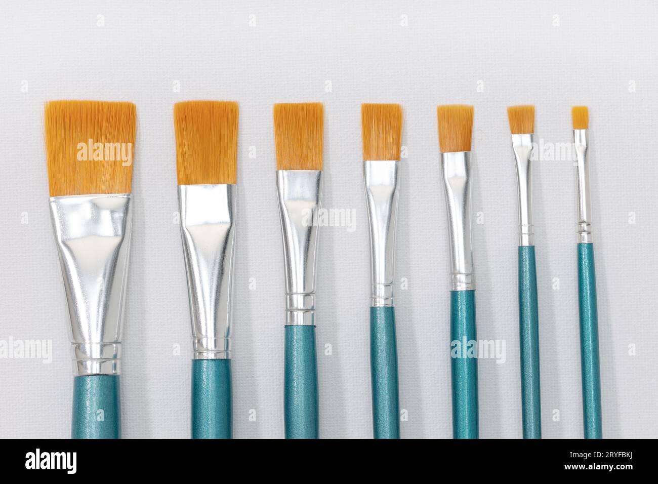 Set of paintbrushes on white canvas background. Artist tool Stock Photo ...