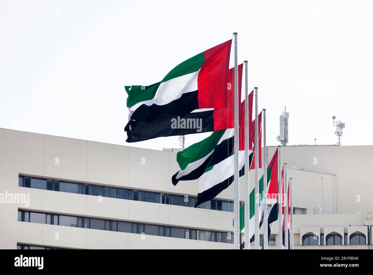 UAE flags waving outdoor in Abu Dhabi. UAE National day. UAE flag day ...