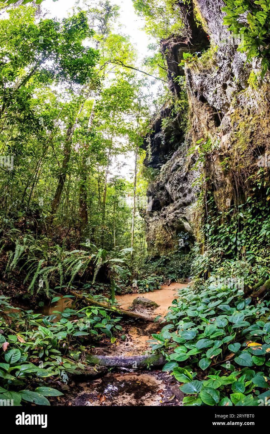 View of Maroaga Cave rocks in jungle at Presidente Figueiredo Brazil ...