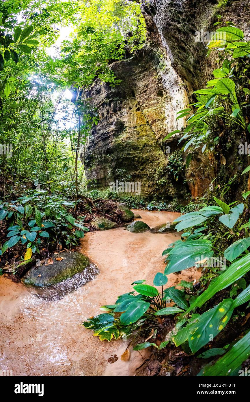 View of Maroaga Cave rocks in jungle at Presidente Figueiredo Brazil ...