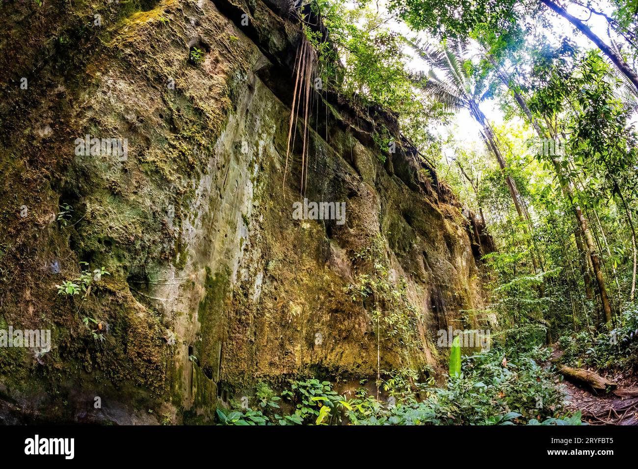 View of Maroaga Cave rocks in jungle at Presidente Figueiredo Brazil ...