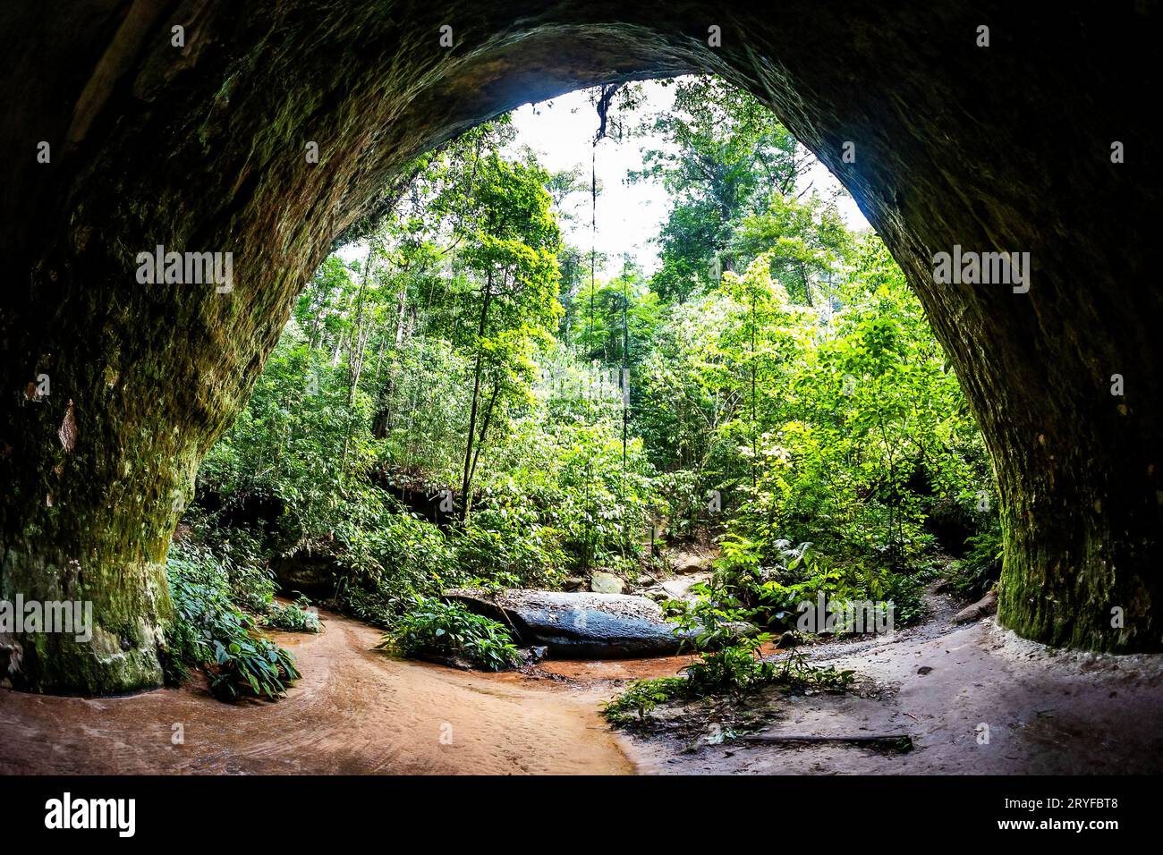View of Maroaga Cave in jungle at Presidente Figueiredo Brazil Stock ...