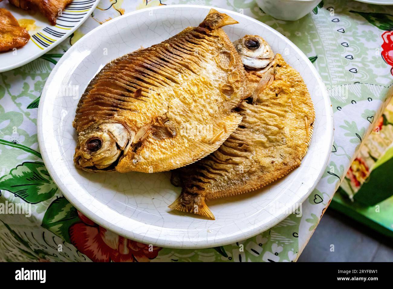 Traditional south American Amazon rainforest fish meal on table Stock ...