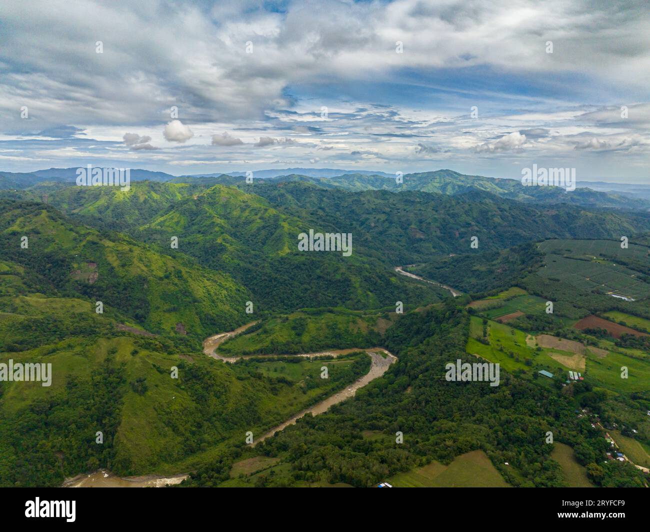 Aerial view of mountain with canyon surrounded by green forest in ...