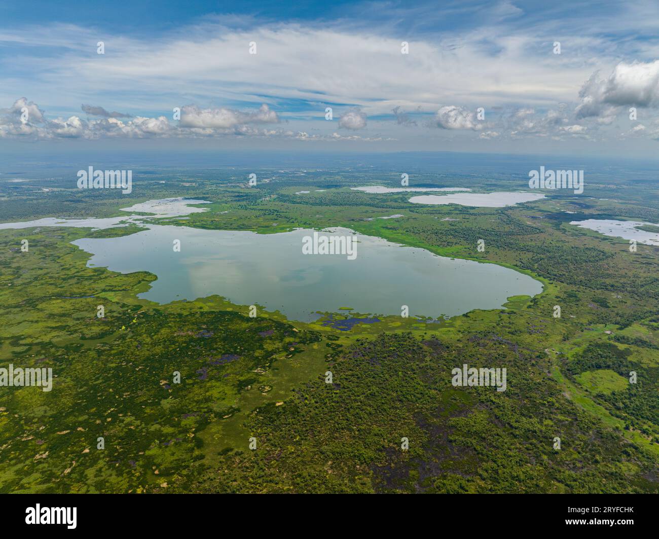 Aerial view of wildlife sanctuary with plants over the water. Agusan ...