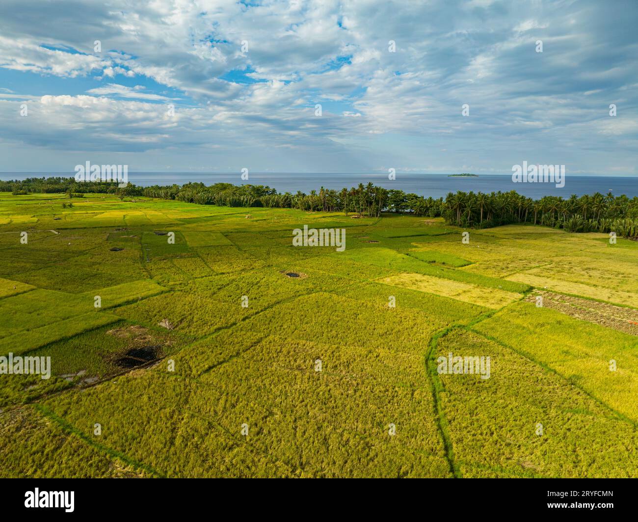 Paddy farmland in mountainside of Camiguin Island. Philippines Stock ...