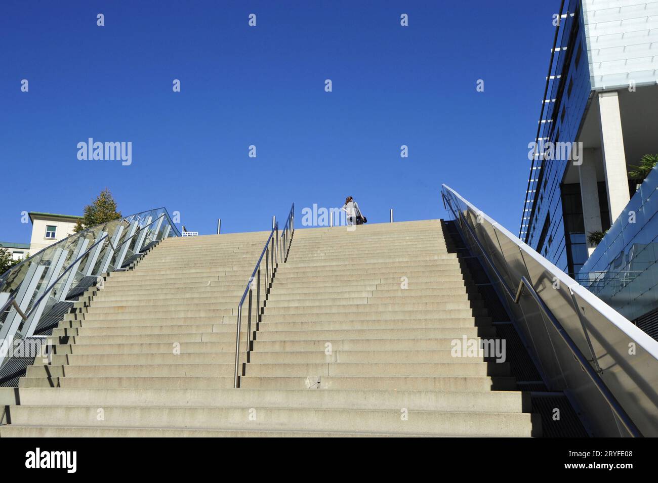Carrier ladder and steps of success Stock Photo - Alamy