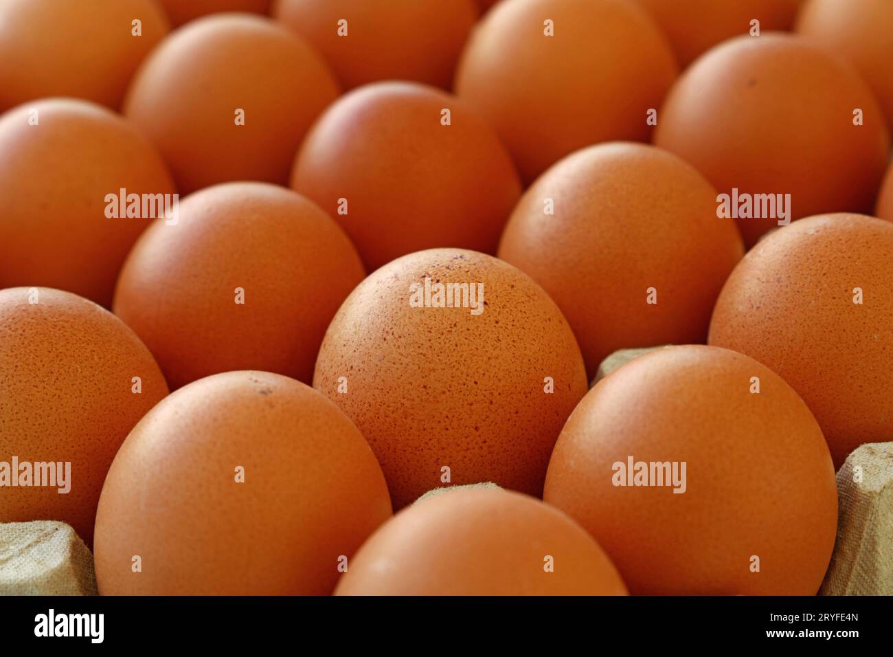 Close up view eggs in hi-res stock photography and images - Alamy