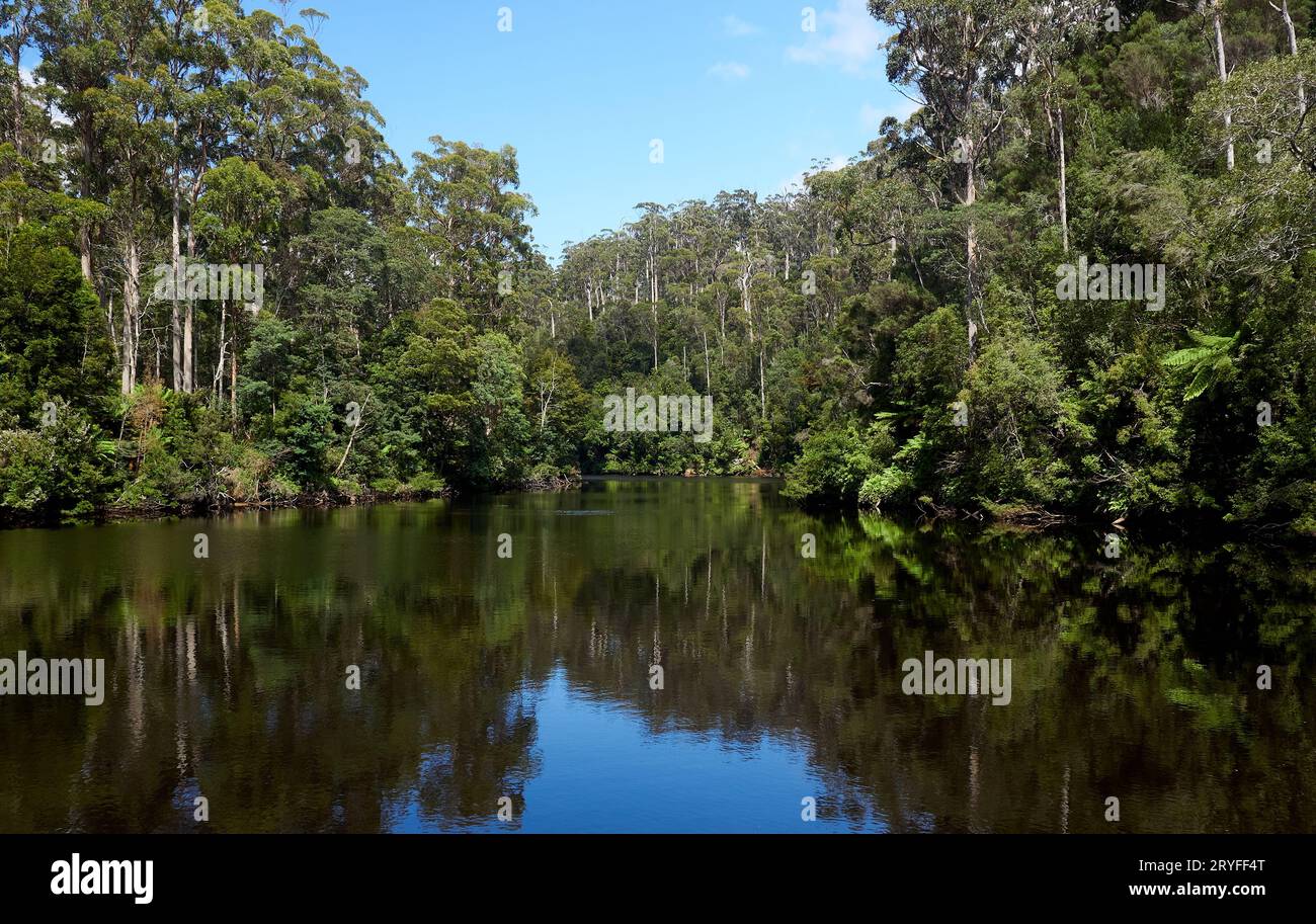 Arthur River with the vegetation beautifully reflected in the sun ...