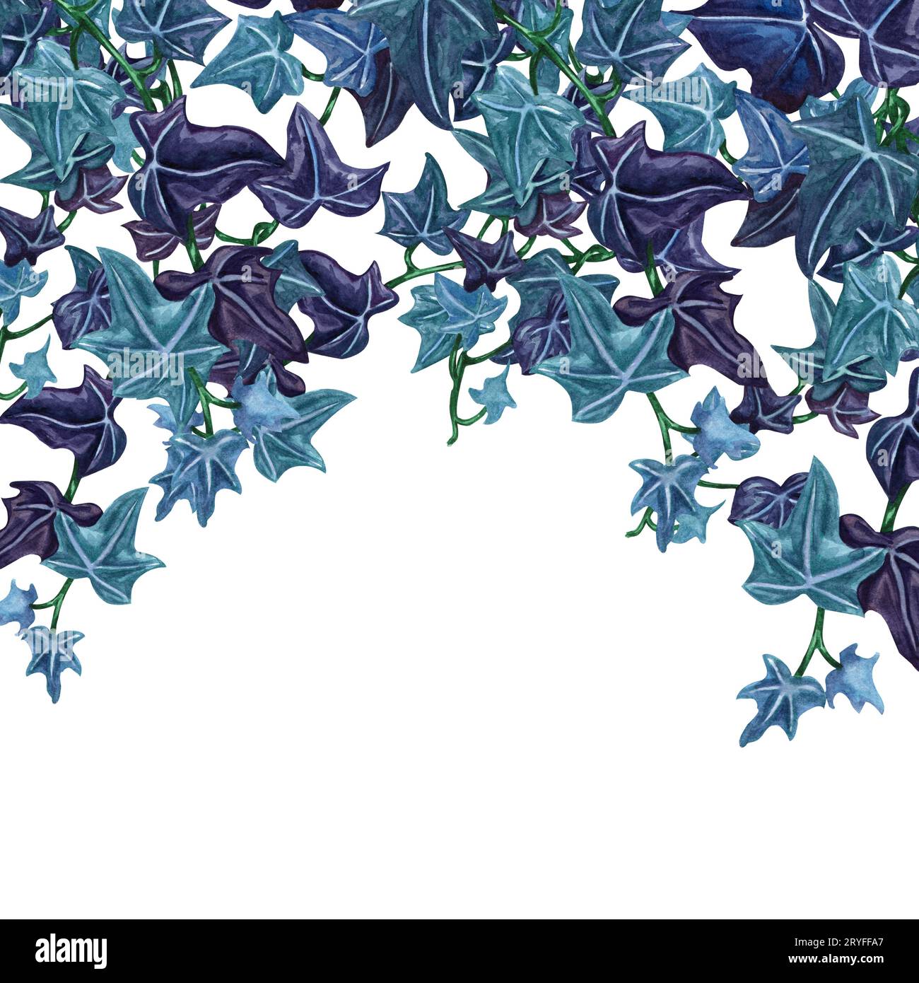 Watercolor botanical ivy illustration. Hand painted green ivy, white ...