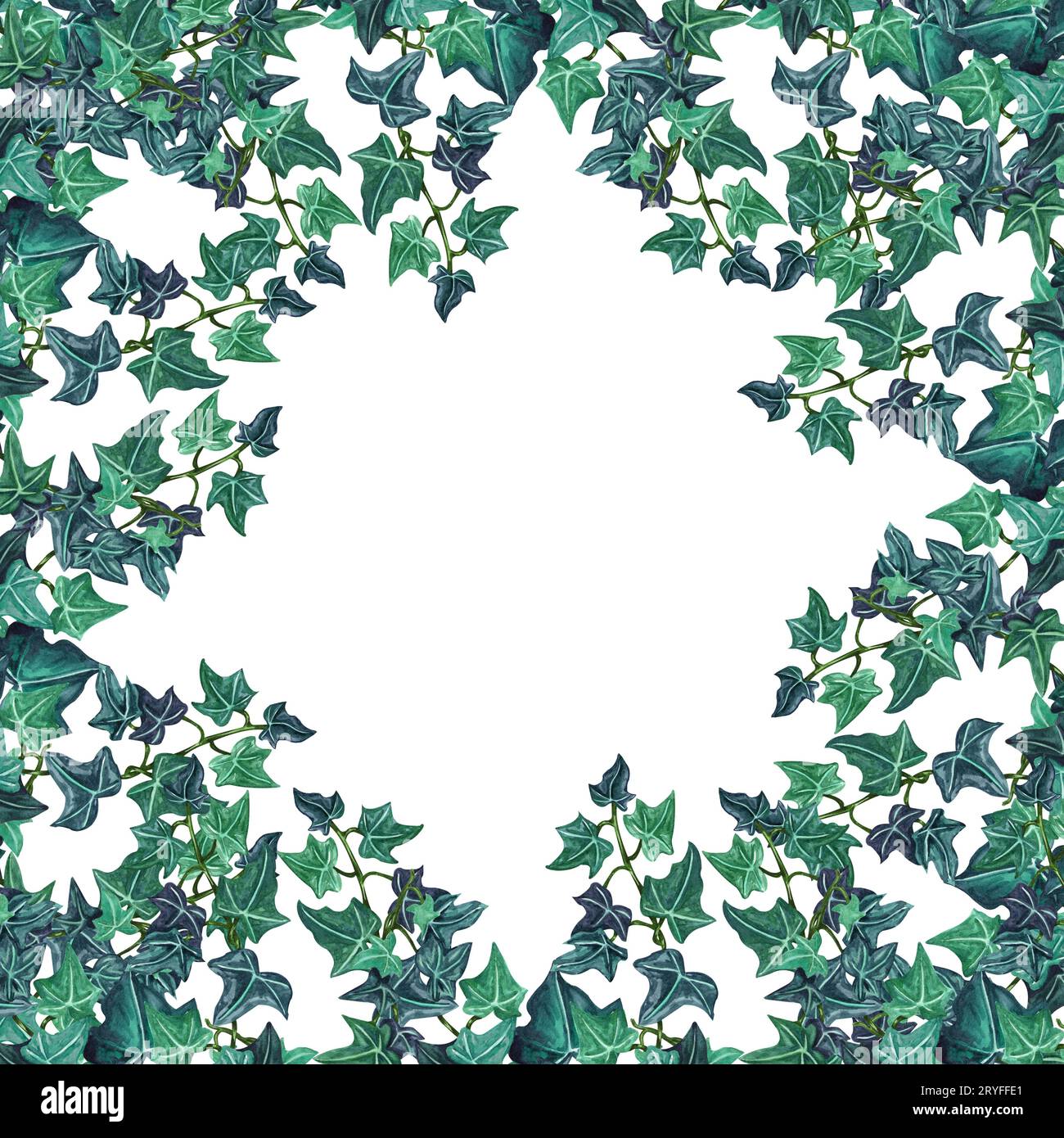 Watercolor botanical ivy illustration. Botanical frame from ivy twig ...