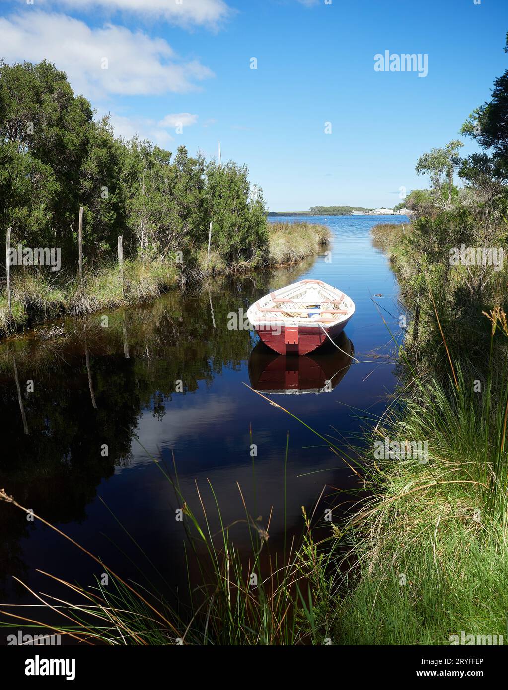Red wooden rowing boat in creek off Macquarie harbour in Strahan ...