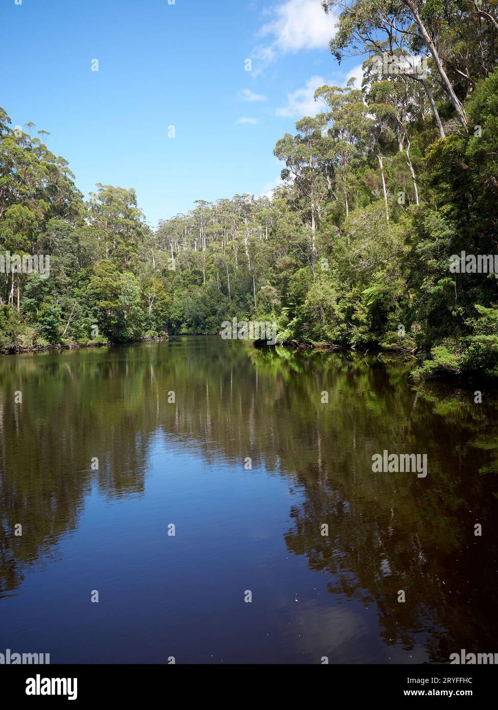 Arthur River with the vegetation beautifully reflected in the sun ...