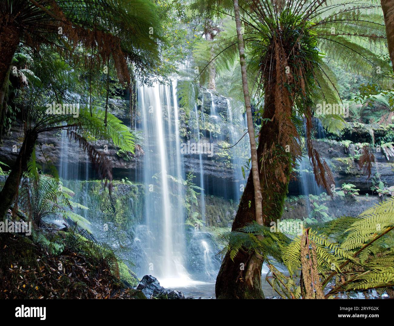 Russell Falls in Mt Field National Park. Detailed image of part of the ...