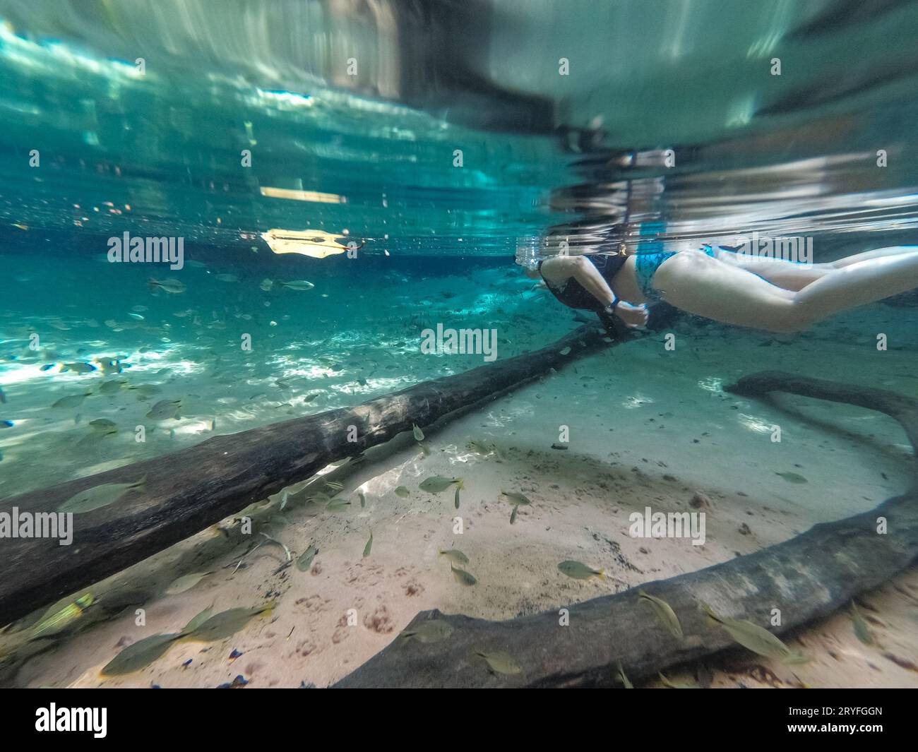 Female tourist snorkelling in hi-res stock photography and images - Alamy