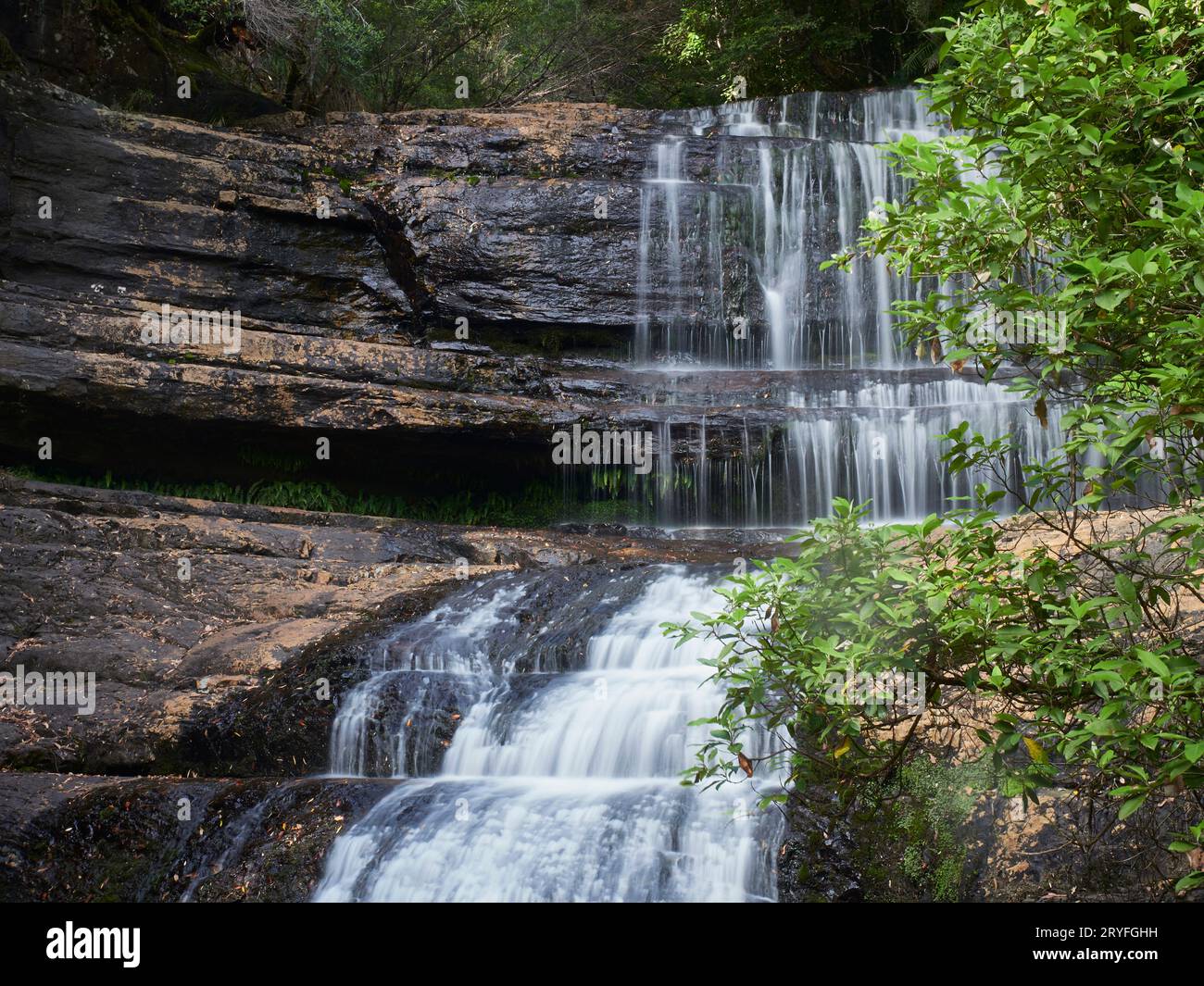 Lady Barron Falls in the National park of Mt Field National Park ...