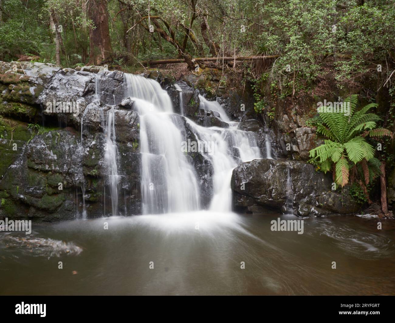Lillydale falls hi-res stock photography and images - Alamy