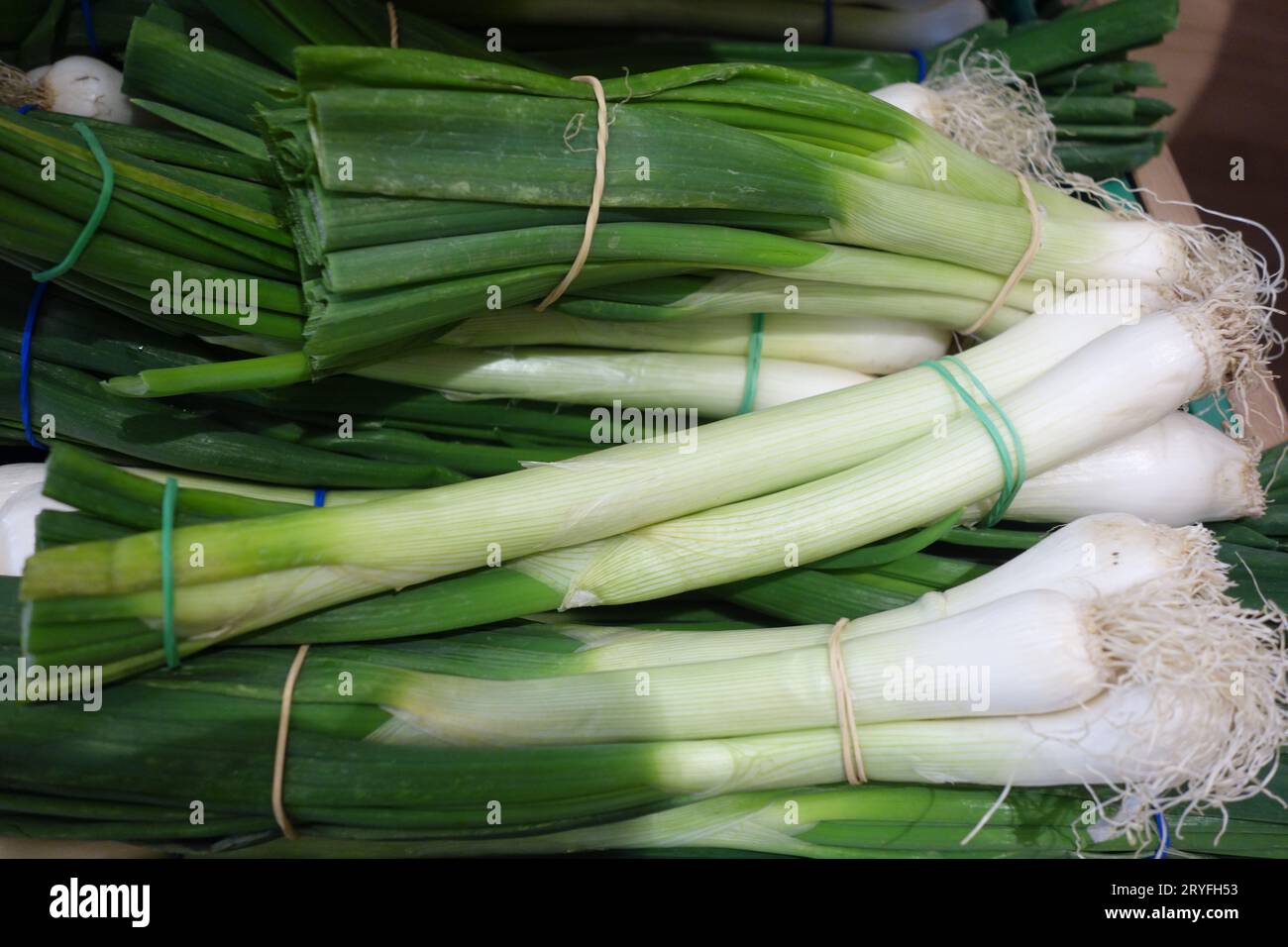 Varieties of edible onion plants hi-res stock photography and images ...