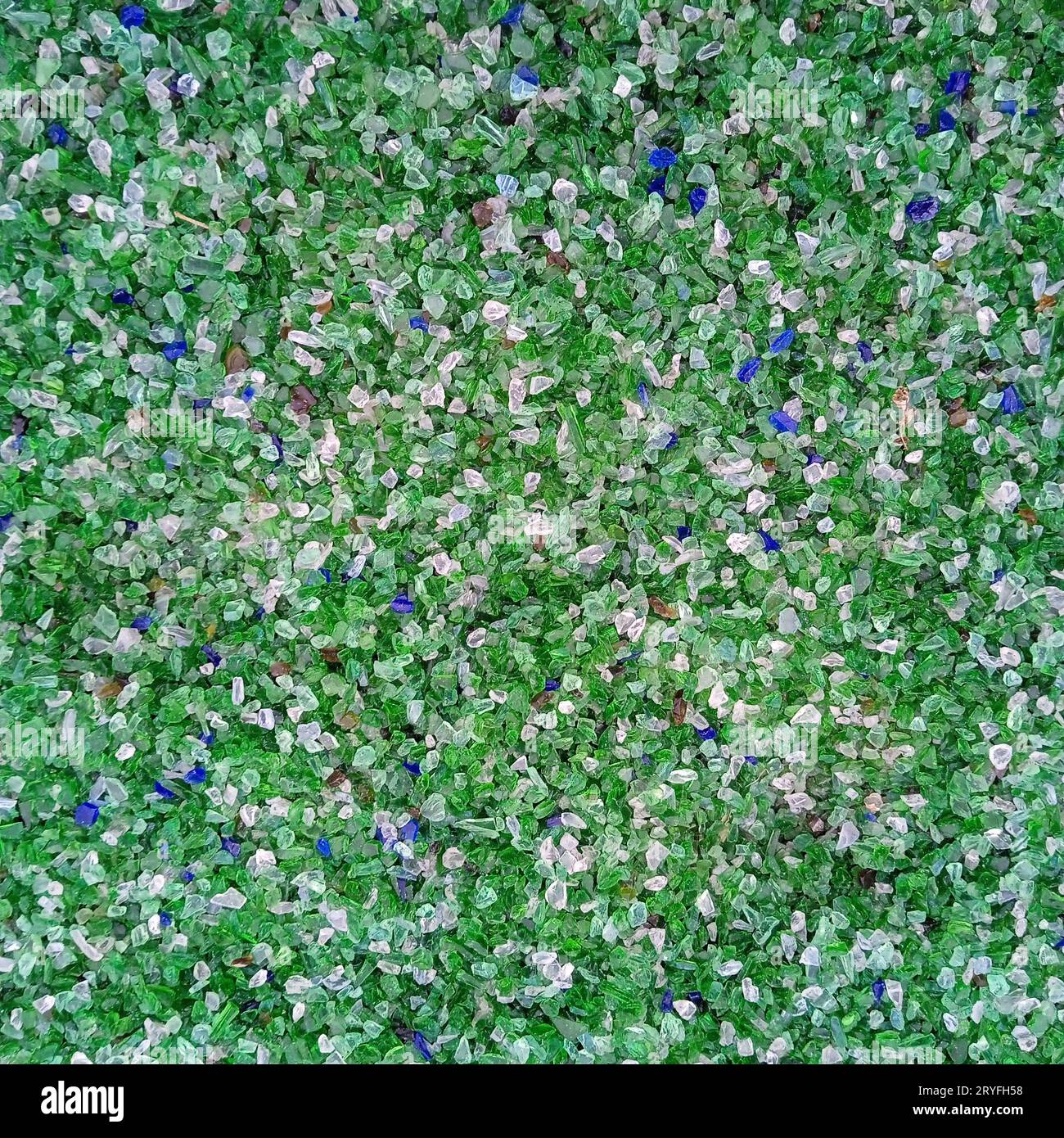 The color green, a common color in nature Stock Photo - Alamy