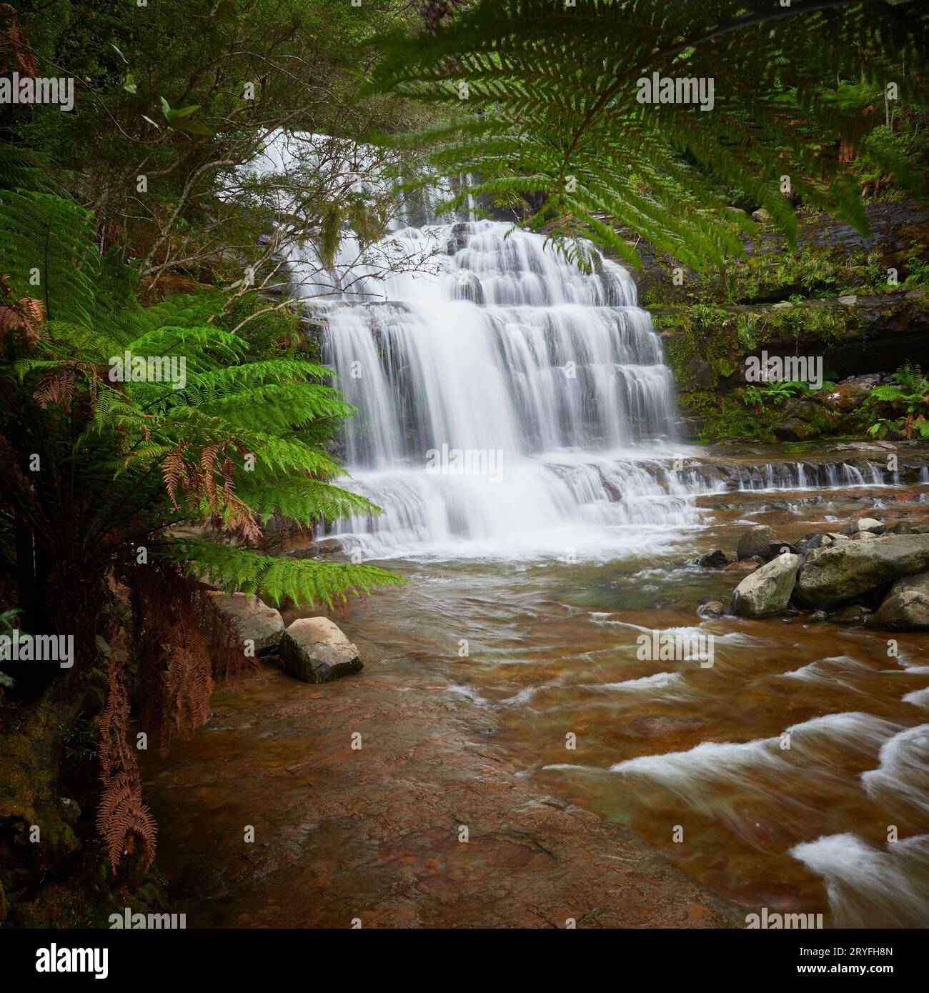 Liffey Falls Tasmania Australia. A picutreque stepped waterfall. Low ...