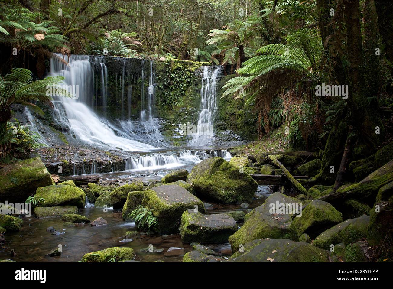 Waterfalls Mt Field National Park Stock Photo - Alamy