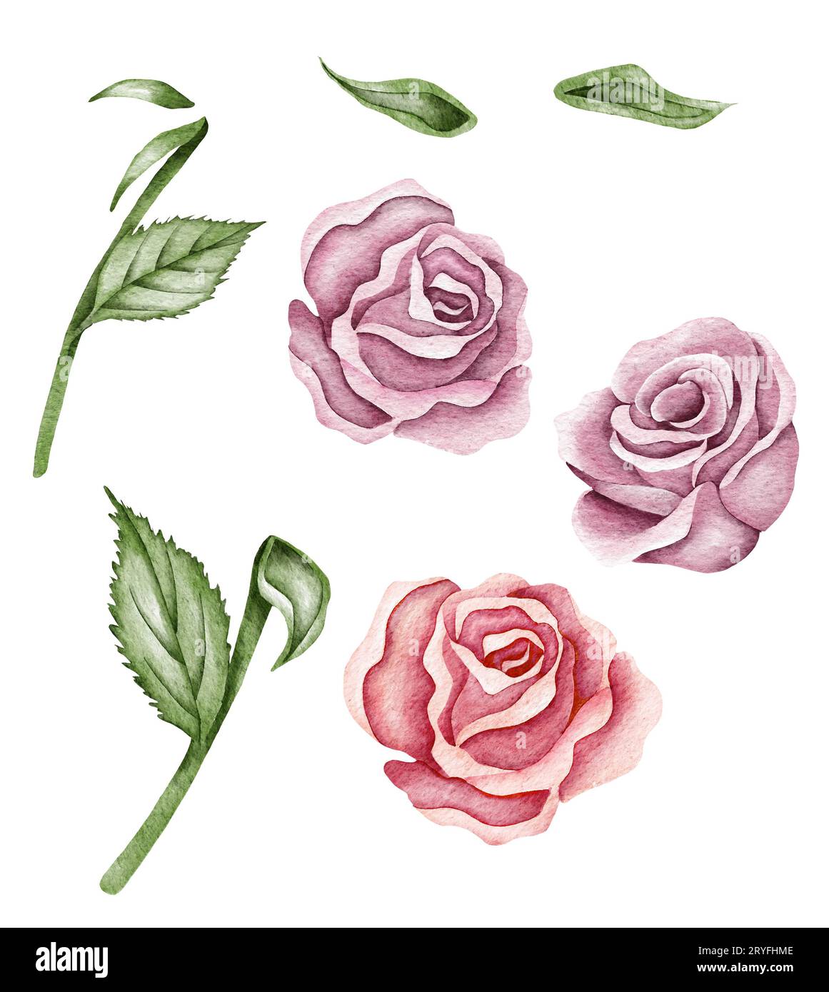 Beautiful romantic background pink roses Cut Out Stock Images ...