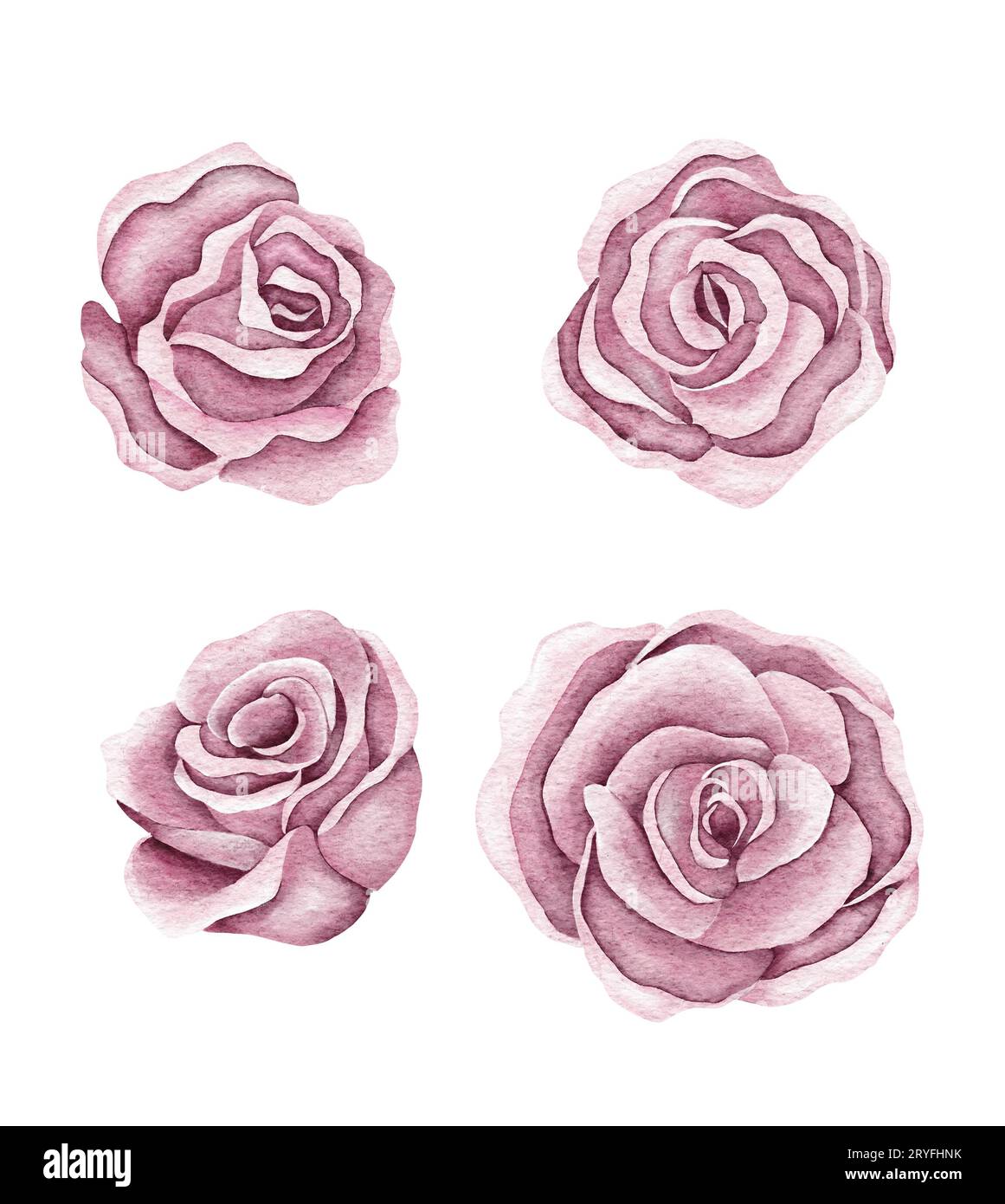 Beautiful romantic background pink roses Cut Out Stock Images ...