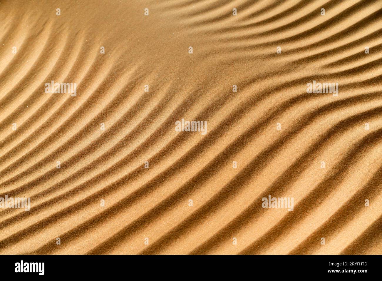 Natural pattern of the sand dune in the desert in Abu Dhabi. Closeup ...
