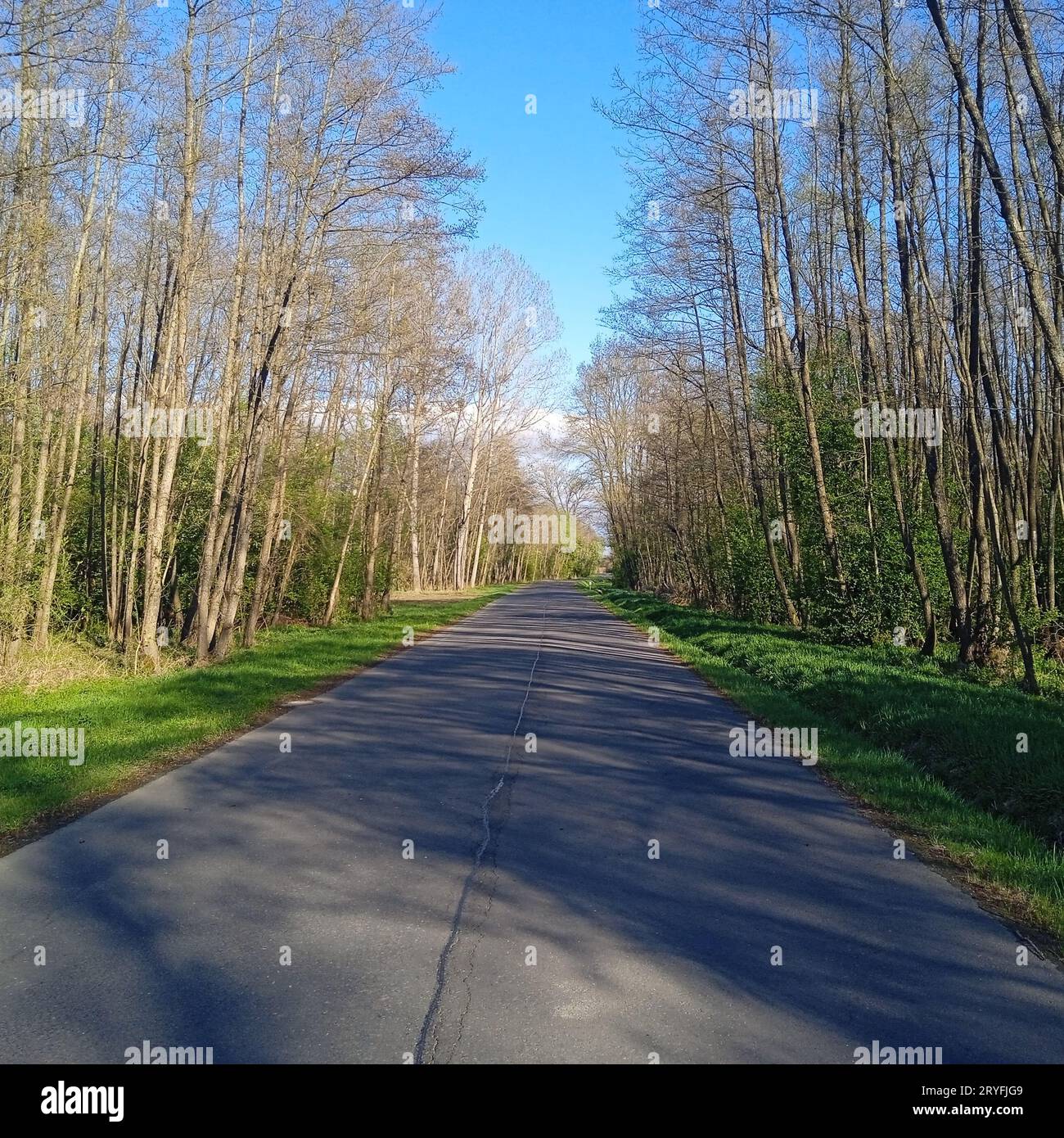 Avenue infrastructure hi-res stock photography and images - Alamy