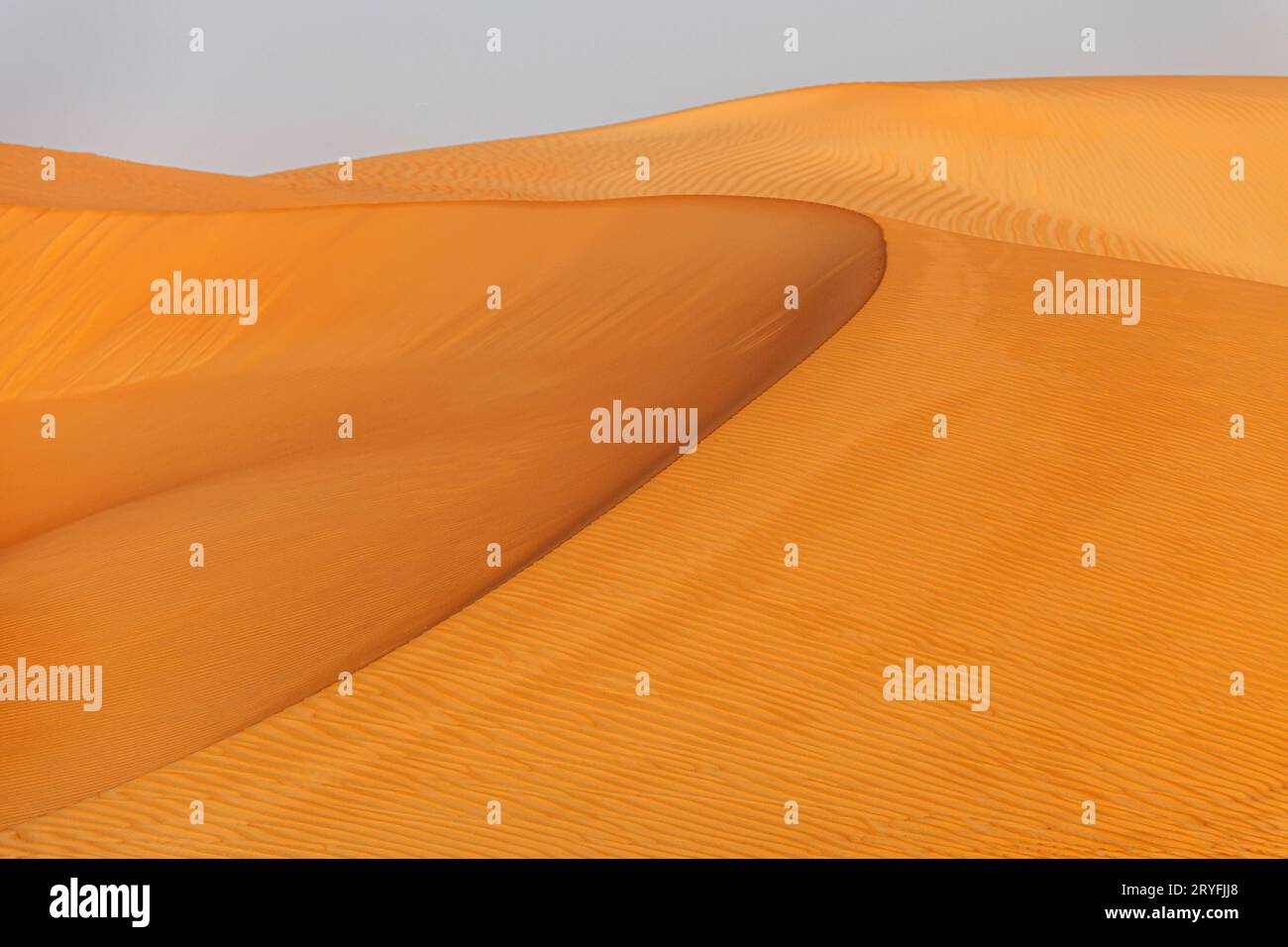 Natural landscape of the orange color sand dunes in the desert in Abu ...