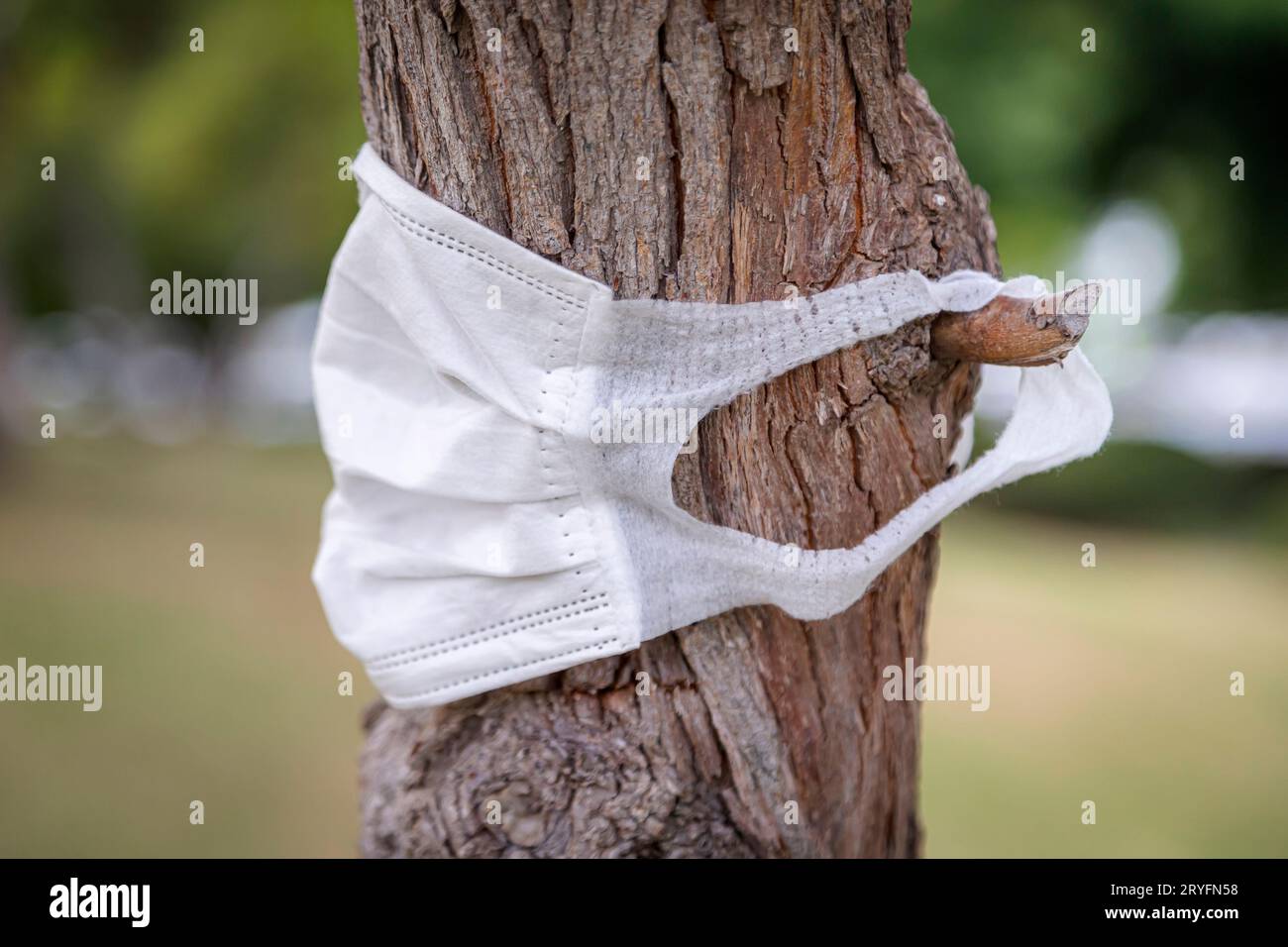 Face mask on a tree bark, sustainability, isolation and protection ...
