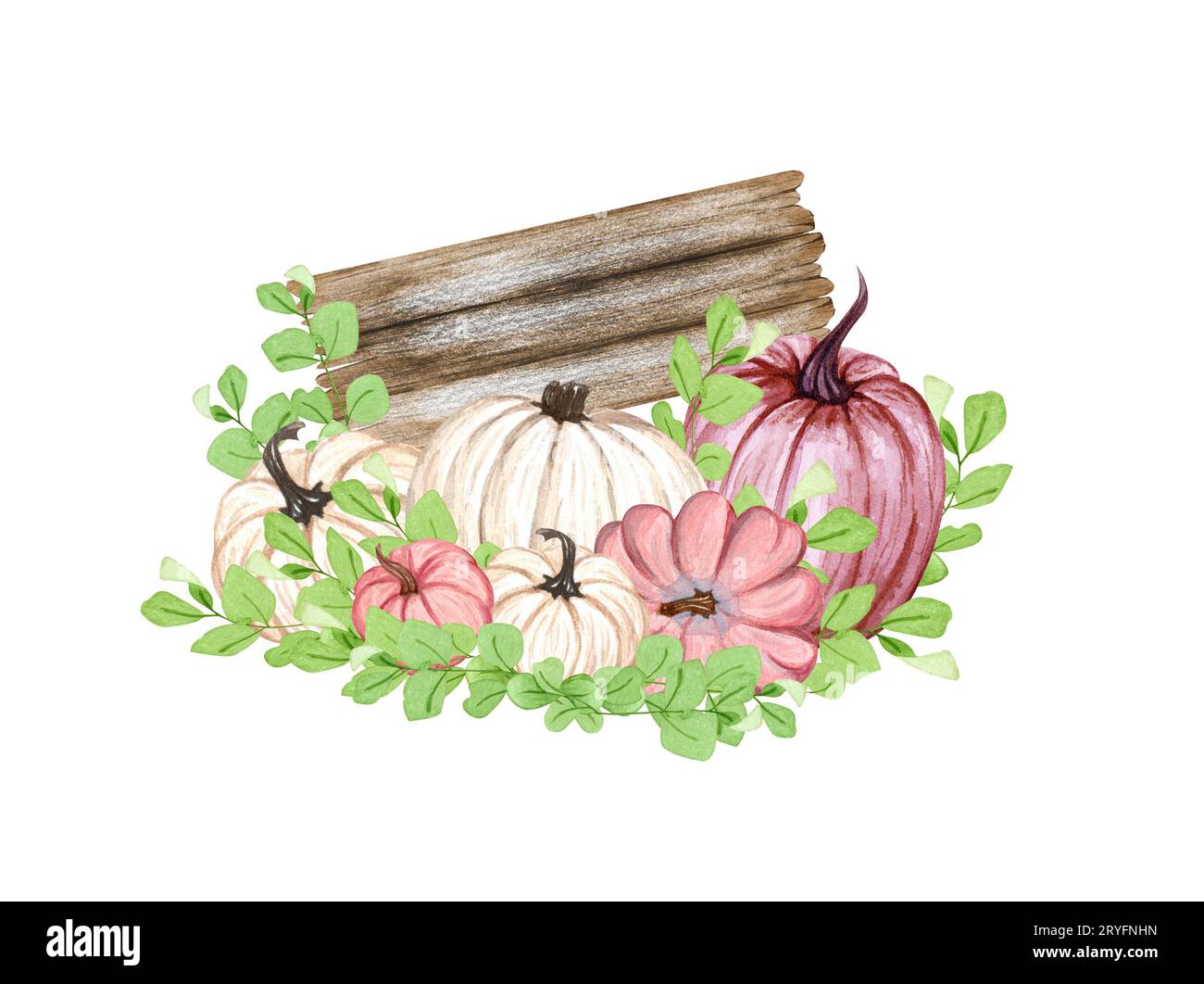 Pink background pumpkins Cut Out Stock Images & Pictures - Alamy