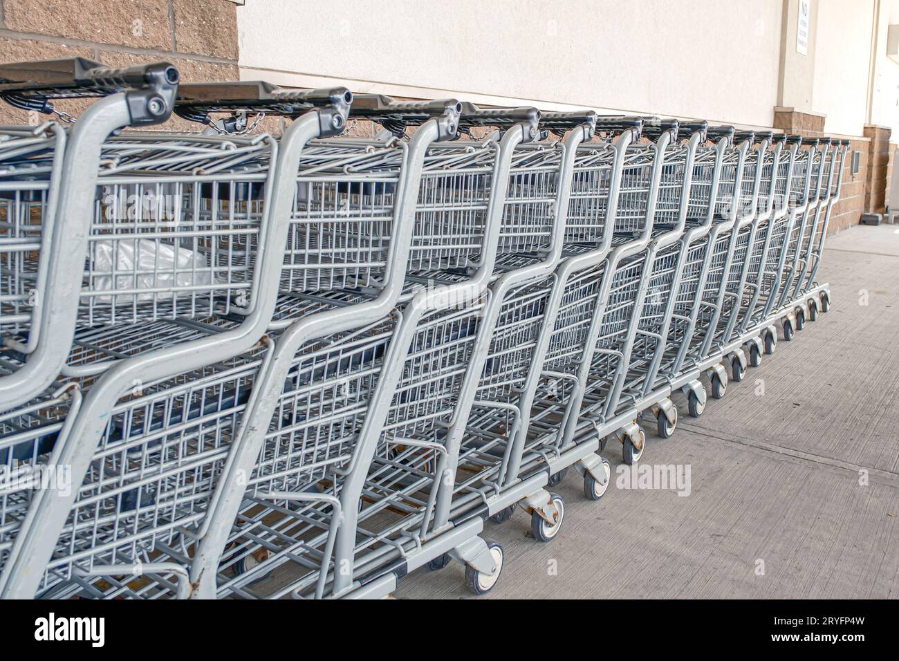 A row of Grocery shopping carts at a supermarket Stock Photo - Alamy