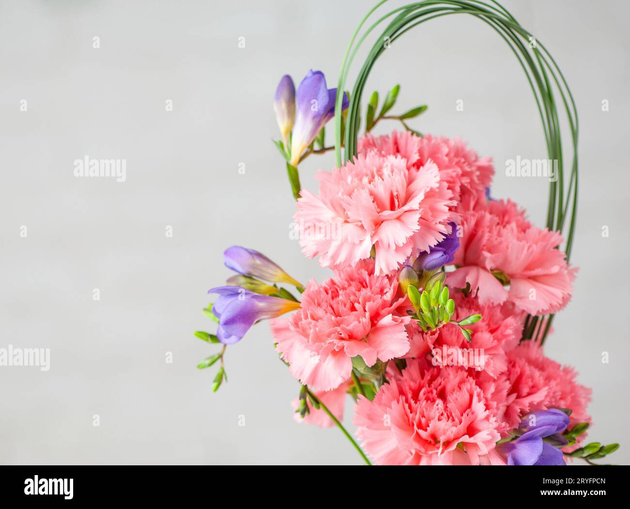 A beautiful composition with pink spray carnations and freesia isolated ...