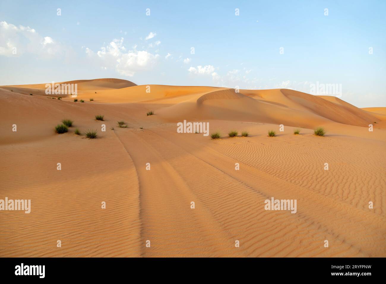 Natural landscape of the orange color sand dunes in the desert in Abu ...