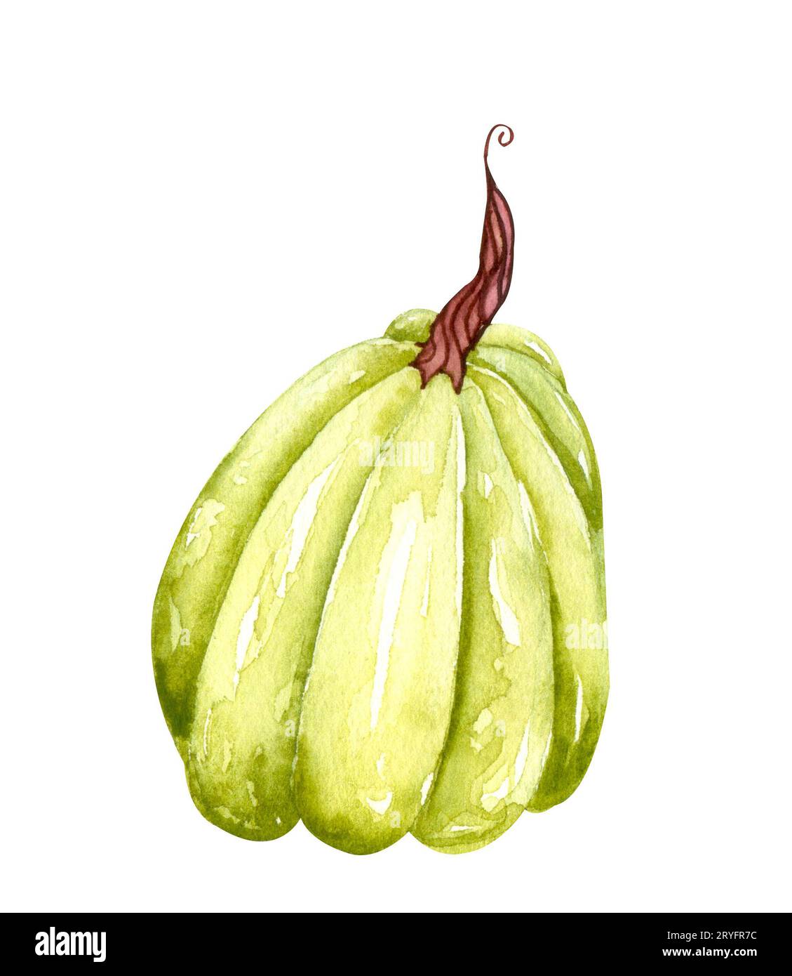 Watercolor floral pumpkin. Rust and burnt, fall foliage and leaves ...