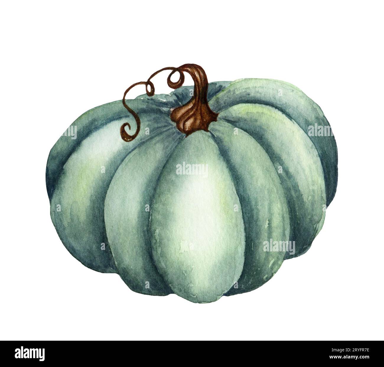 Watercolor floral pumpkin. Rust and burnt, fall foliage and leaves ...