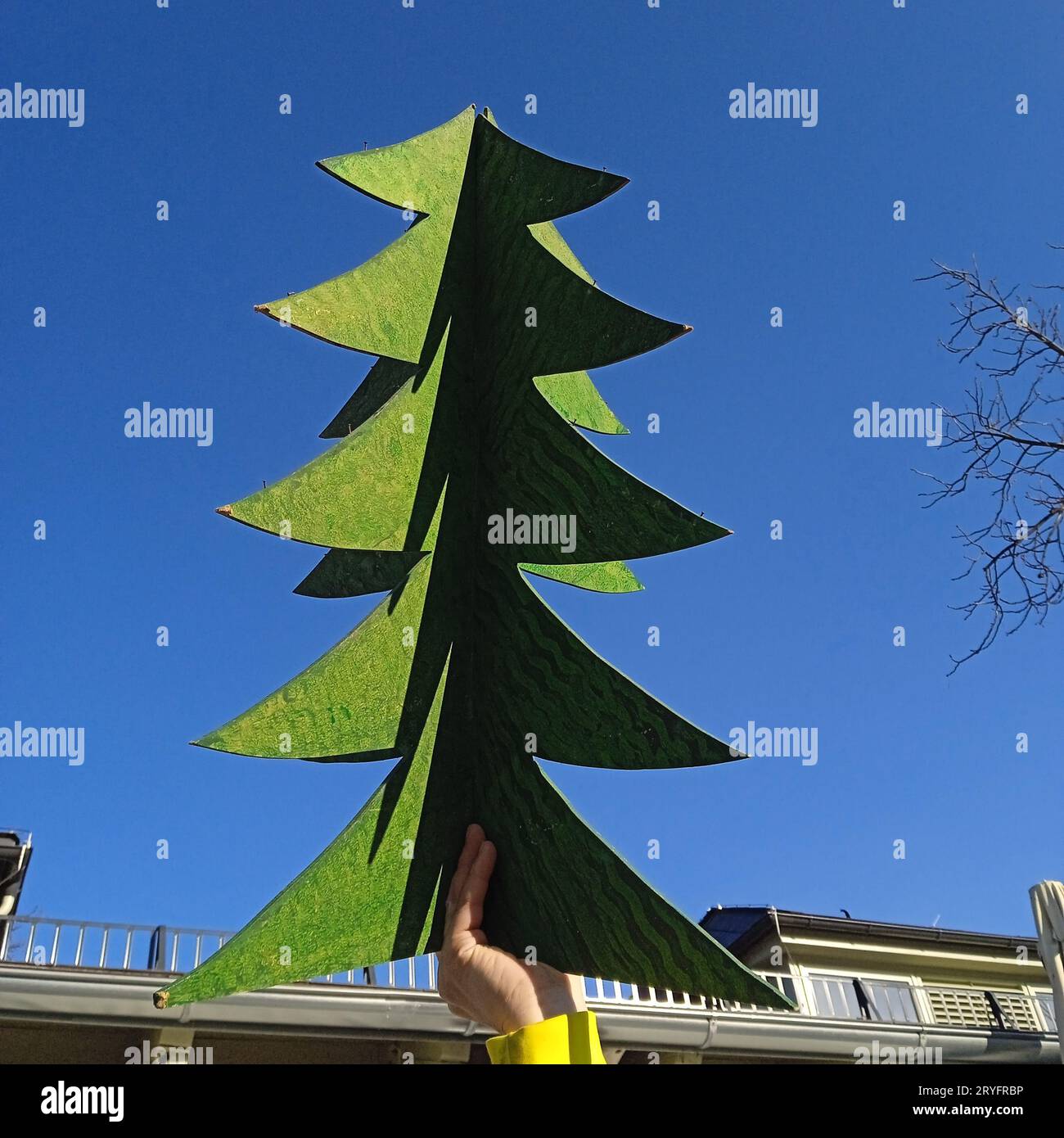Tree symbol for forest hi-res stock photography and images - Alamy