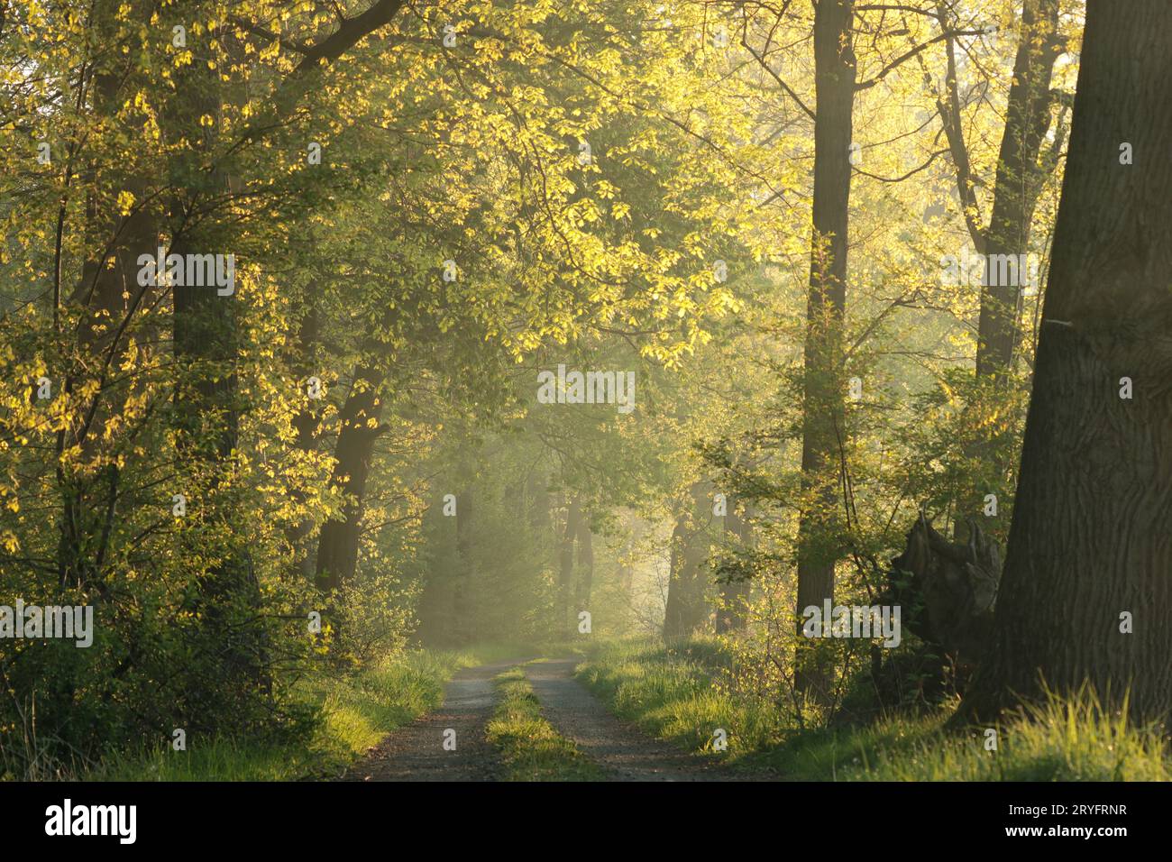 Rich dirt hi-res stock photography and images - Alamy