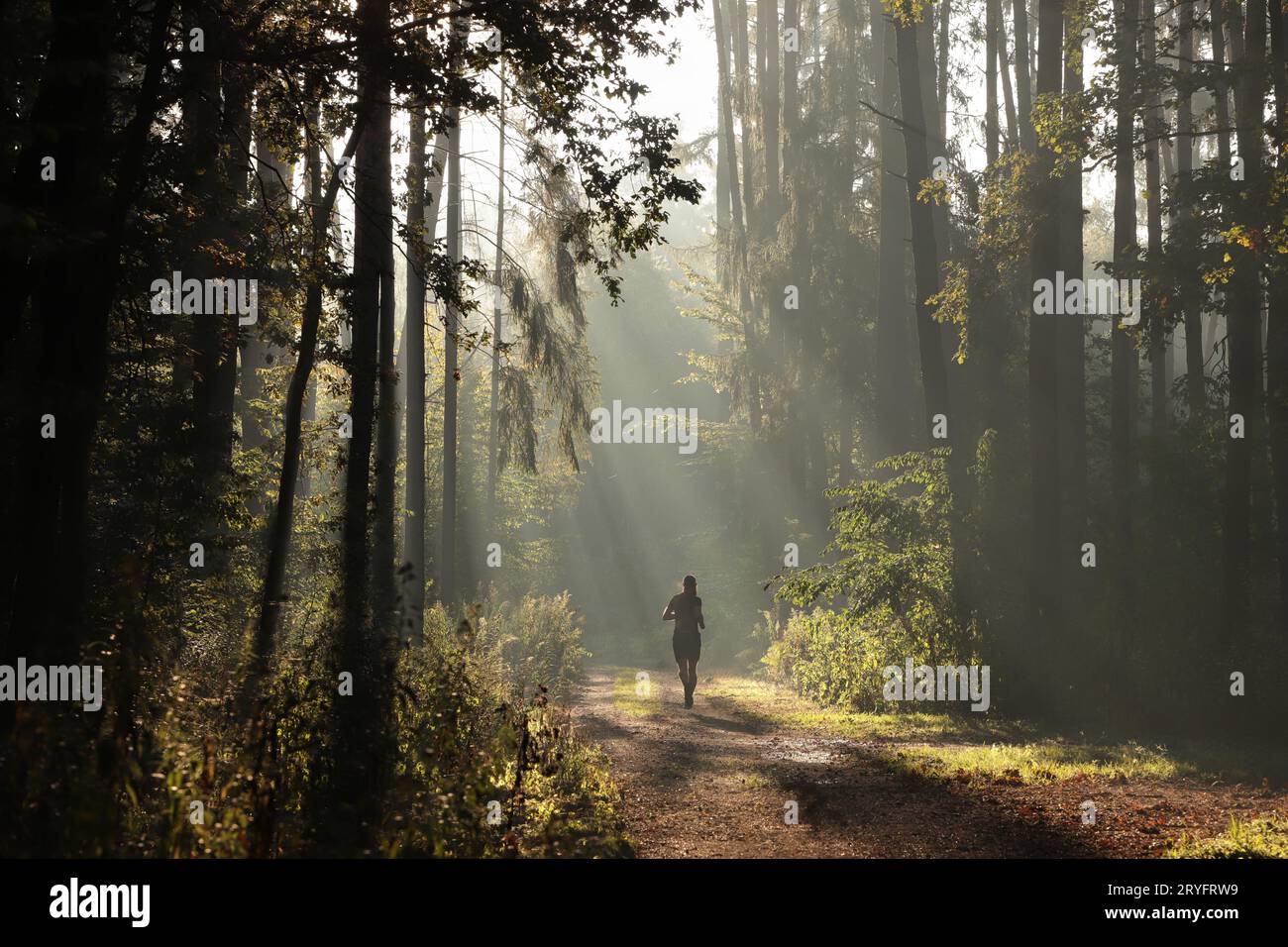 Dawn light and human landscape hi-res stock photography and images - Alamy