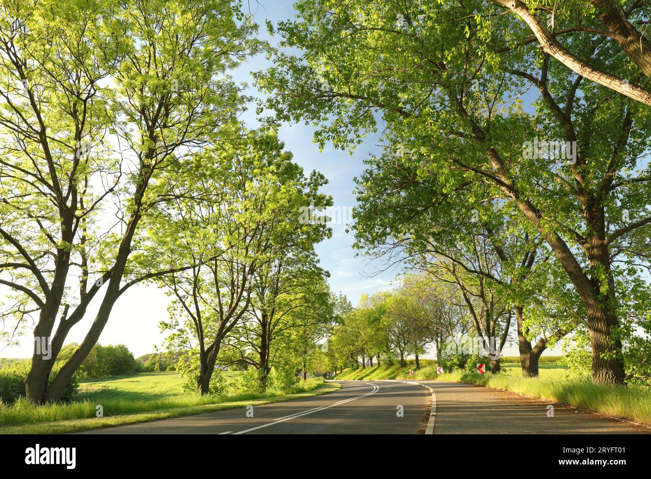 Country road beautiful rural hi-res stock photography and images - Alamy